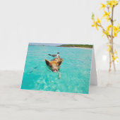 Funny Uber or Lyft Driver Birthday Card | Zazzle