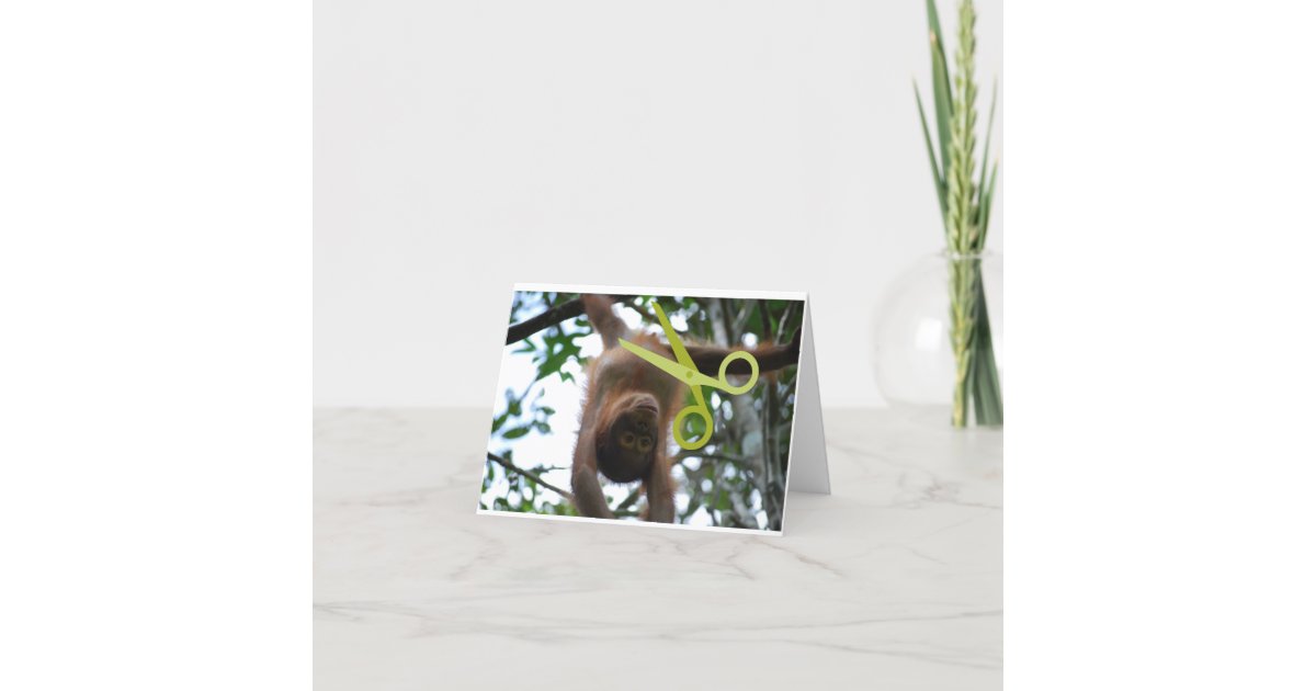 Funny Vasectomy Holiday Card | Zazzle