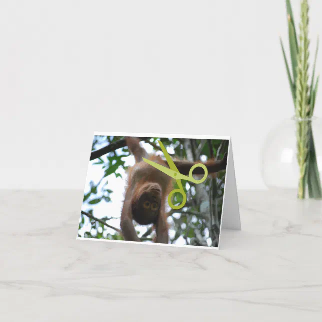 Funny Vasectomy Holiday Card | Zazzle