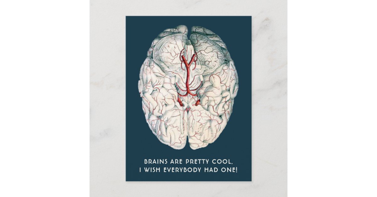 Funny Vintage Brain "I Wish Everybody Had One" Postcard | Zazzle