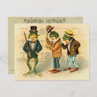 Funny Vintage Frogs Postcard | Zazzle