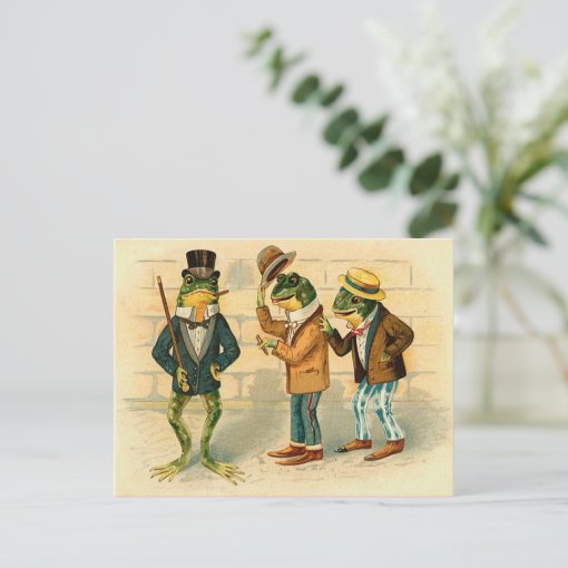 Funny Vintage Frogs Postcard | Zazzle