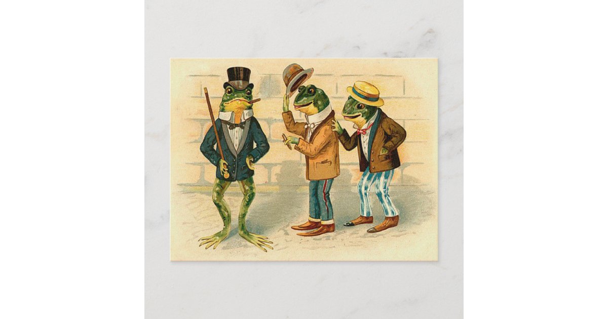Funny Vintage Frogs Postcard | Zazzle
