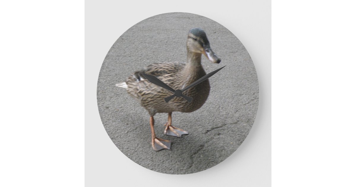Funny Waddling Duck Wall Clock | Zazzle