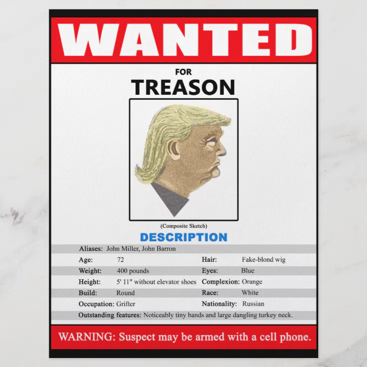 Funny Wanted Trump For Treason Flyer | Zazzle