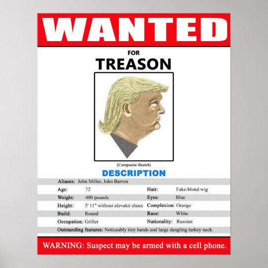 Funny Wanted Trump For Treason Poster | Zazzle.com