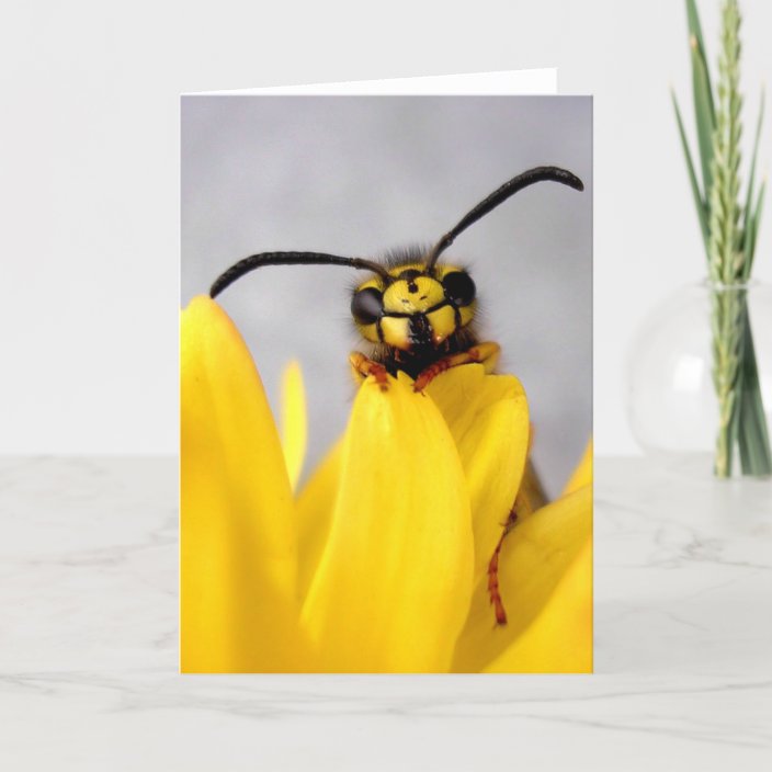 Funny Wasp Greeting Card | Zazzle.com