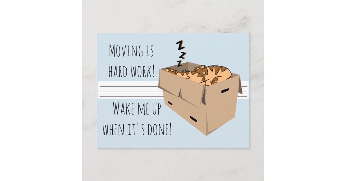 Funny "We're Moving" Cat New Address Announcements | Zazzle