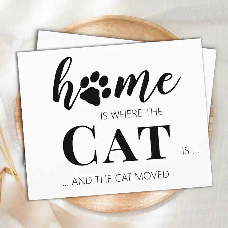 Funny We've Moved New Address Cat Pet Moving Postcard | Zazzle