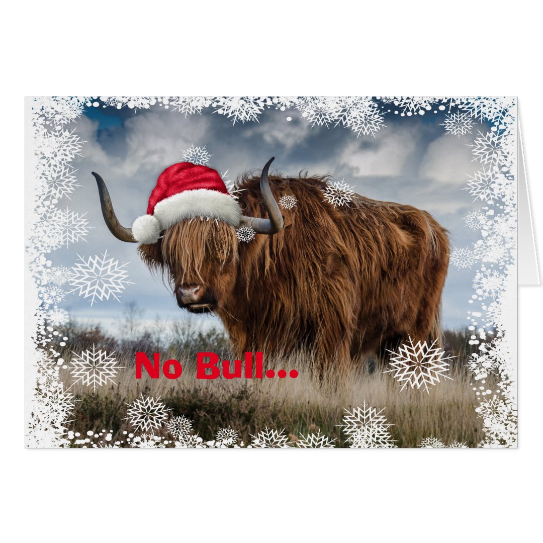 Funny Wild Yak Santa Hat Christmas Card | Zazzle