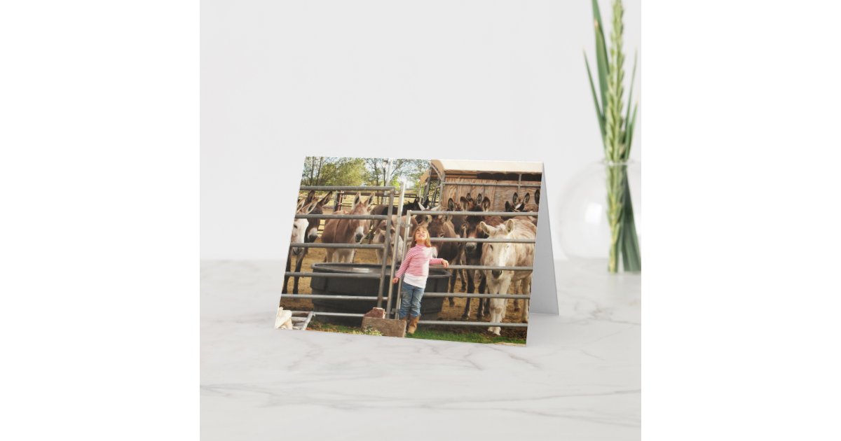 Funny Woman DVM Graduate Western Congratulations Card | Zazzle