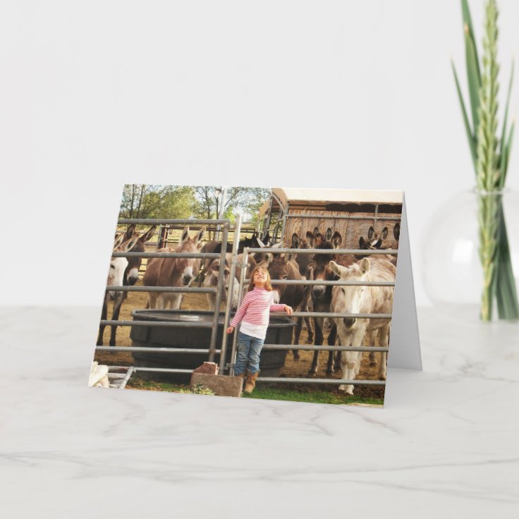 Funny Woman DVM Graduate Western Congratulations Card | Zazzle