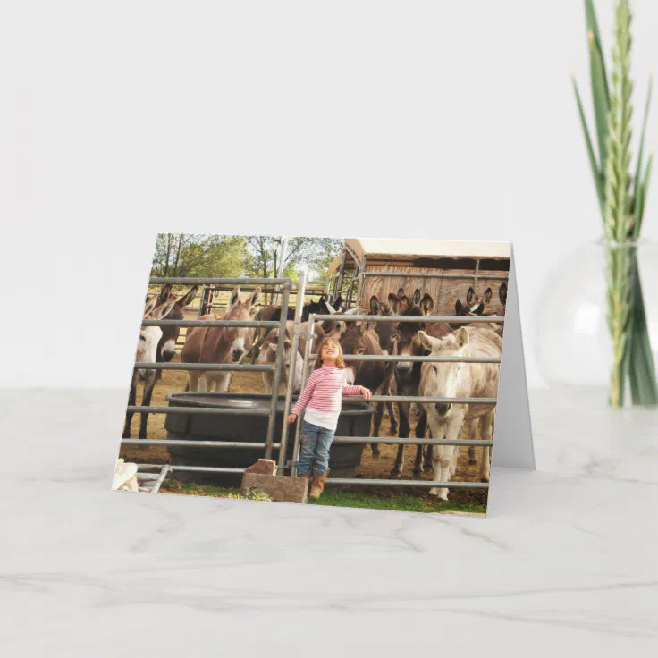 Funny Woman DVM Graduate Western Congratulations Card | Zazzle