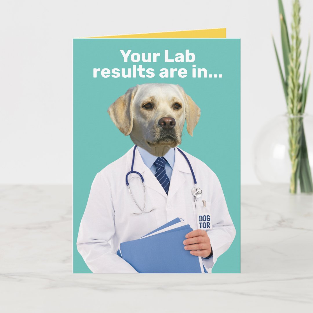 Funny Yellow Lab Doctor With Lab Results Birthday Card | Zazzle