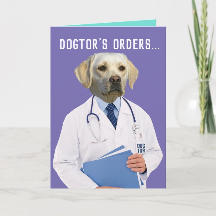 Funny Yellow Lab Doctor's Orders Heal and Get Well Card | Zazzle