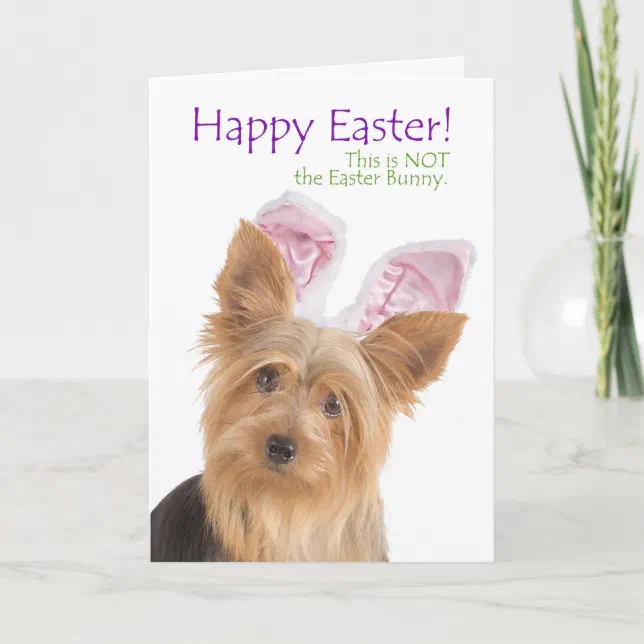 Funny Yorkie Easter Card | Zazzle