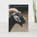 Funny "You old goat" Happy Birthday Card | Zazzle