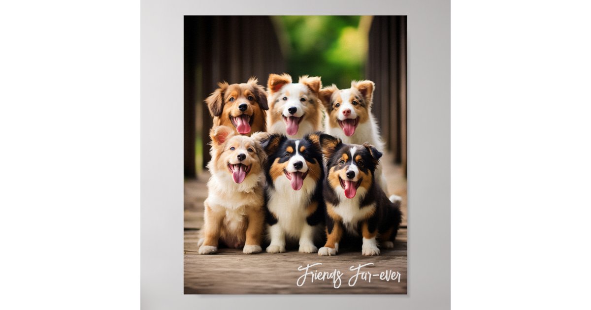 Fur-ever Friends: Cute Puppy Poster | Zazzle