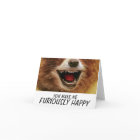 FURIOUSLY HAPPY card | Zazzle
