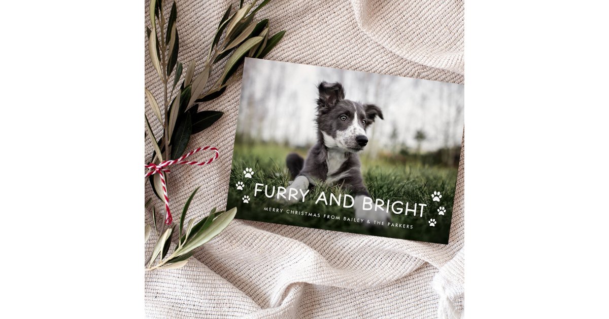 Furry and Bright | Christmas Photo from the Dog Magnetic Invitation ...