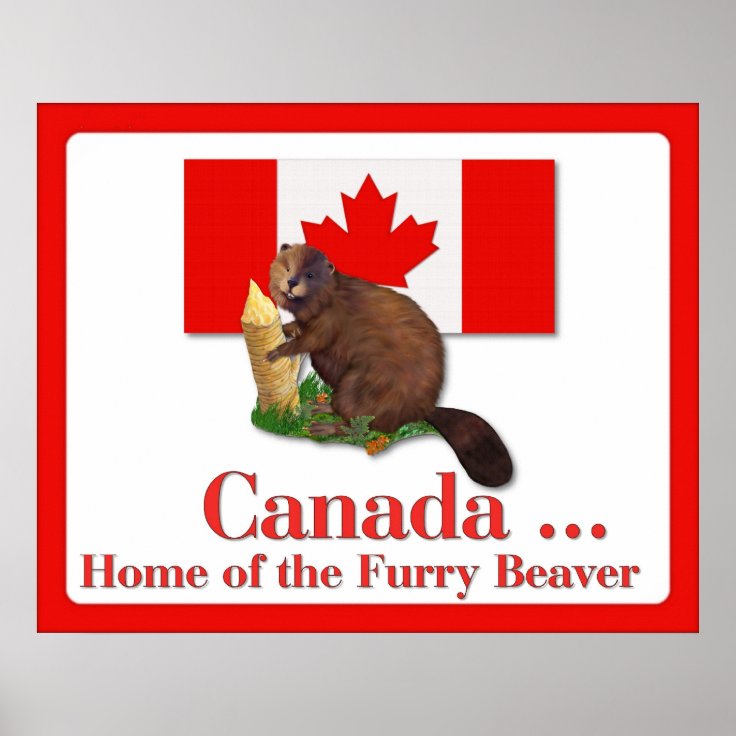 Furry Beaver Poster | Zazzle