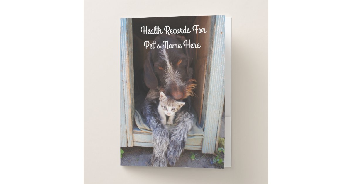 Furry Friends Pocket Folder | Zazzle