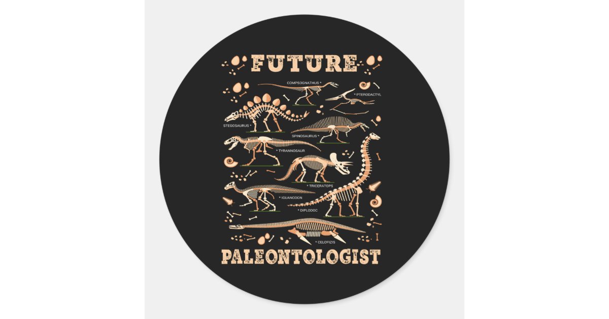 Future Paleontologis Dinosaurs Paleontologist Classic Round Sticker ...