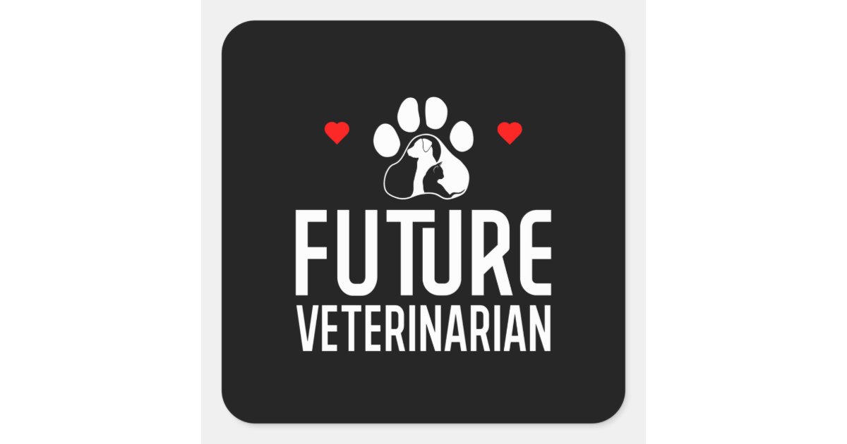 Future Veterinarian Square Sticker | Zazzle