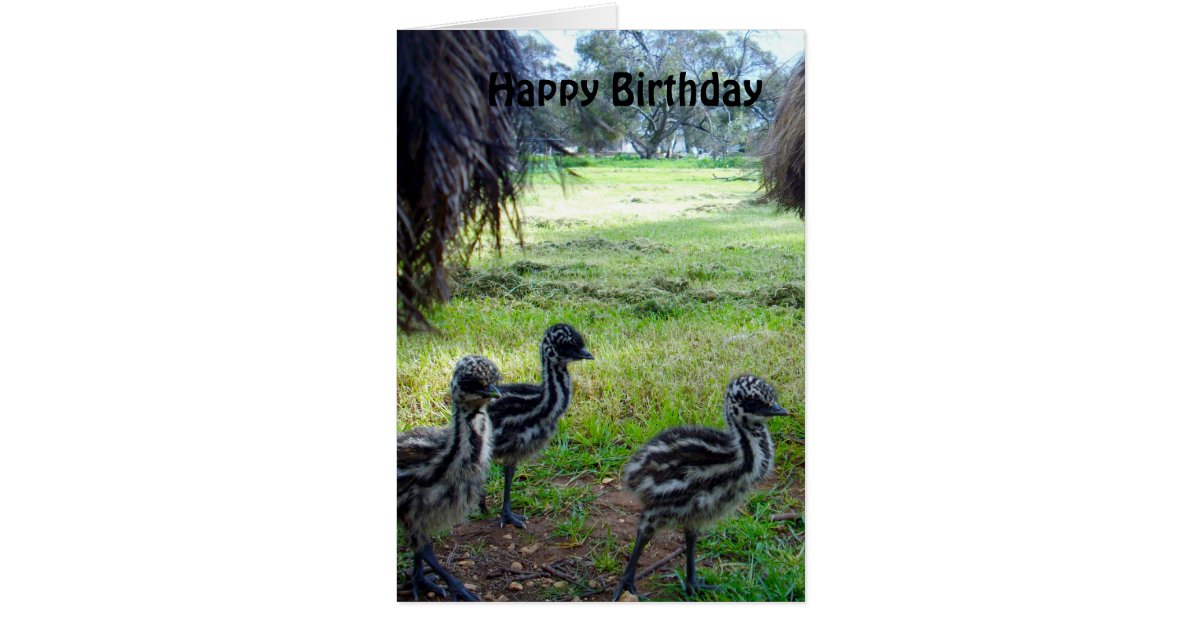 Fuzzy Baby Emu Chicks, Birthday Card | Zazzle