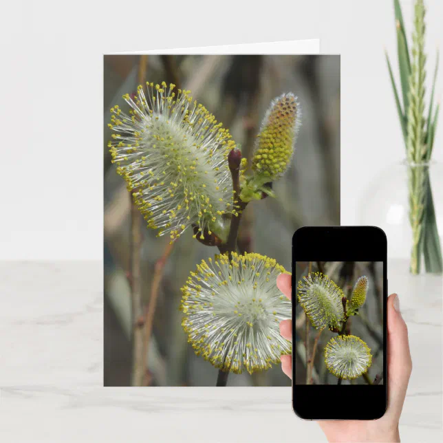 "Fuzzy Blooming Bush" Card | Zazzle