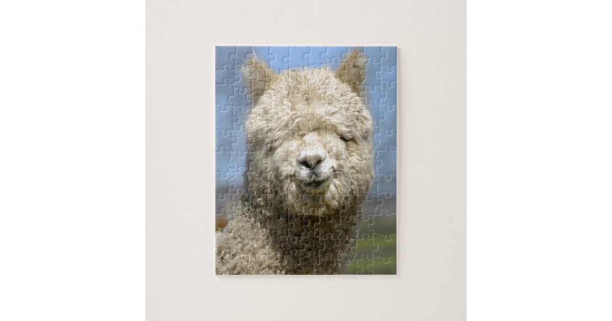 Fuzzy White Alpaca Face Jigsaw Puzzle | Zazzle