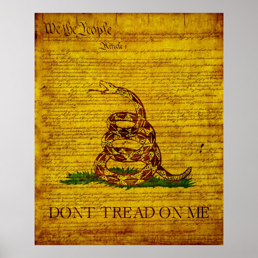 Gadsden Flag Poster | Zazzle