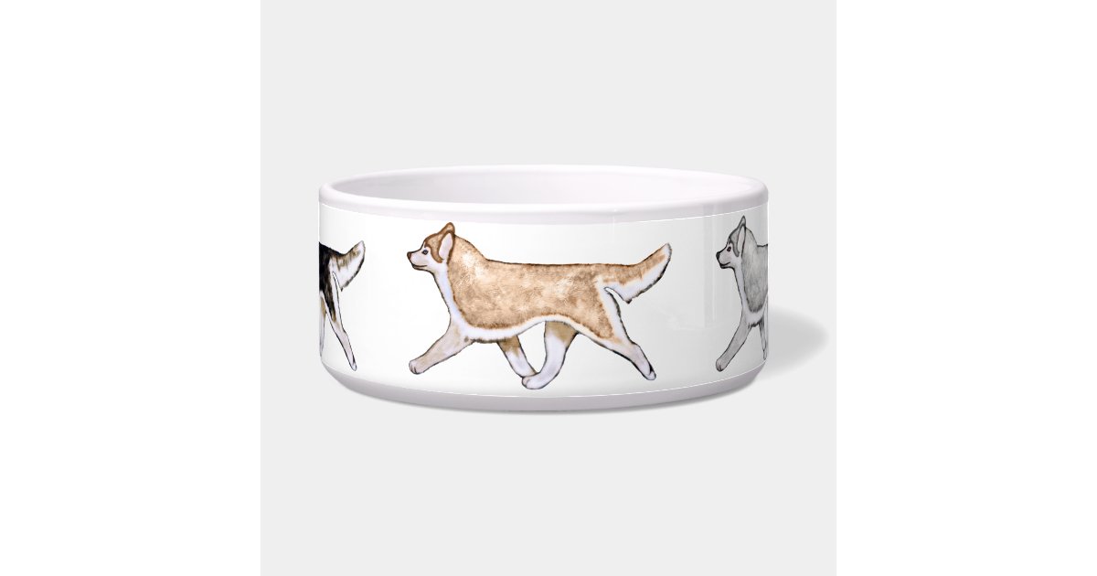Gaiting Siberian Husky Dog Bowl | Zazzle