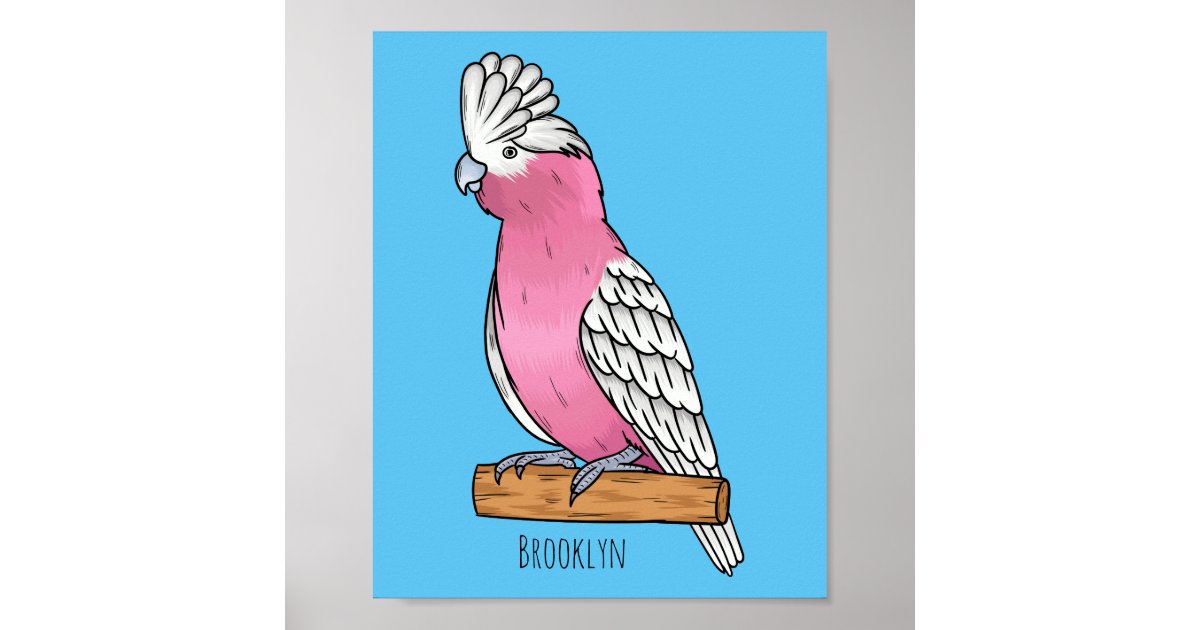 Galah bird cartoon illustration poster | Zazzle