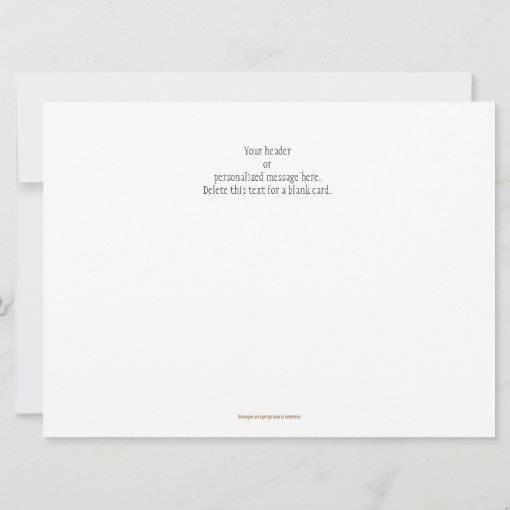 Galapagos Archipelago Map Tropical Islands Custom | Zazzle