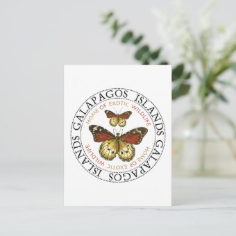 Galapagos Islands Butterflies Postcard | Zazzle