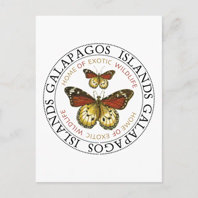 Galapagos Islands Butterflies Postcard | Zazzle