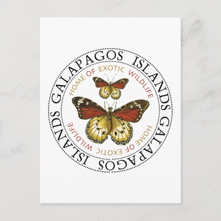 Galapagos Islands Butterflies Postcard | Zazzle