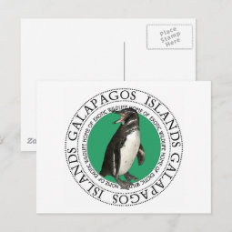 Galapagos Islands Penguin Postcard | Zazzle