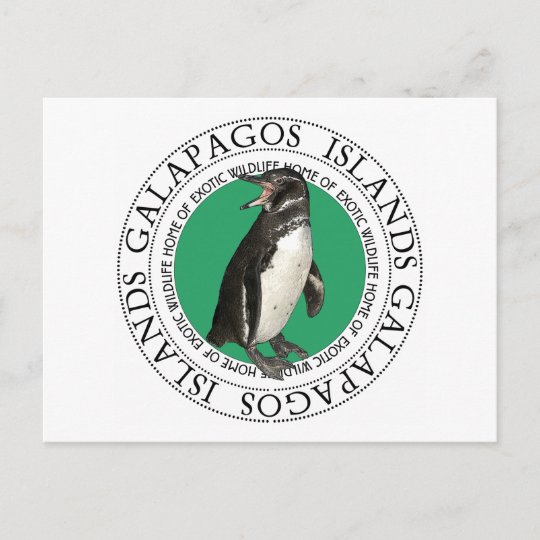 Galapagos Islands Penguin Postcard | Zazzle.com
