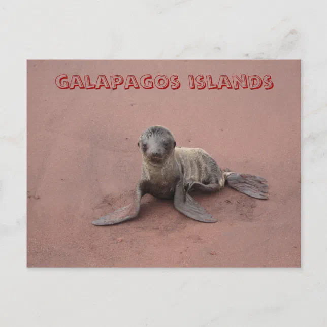 galapagos islands postcard | Zazzle