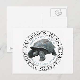 Galapagos Islands Tortoise Postcard | Zazzle