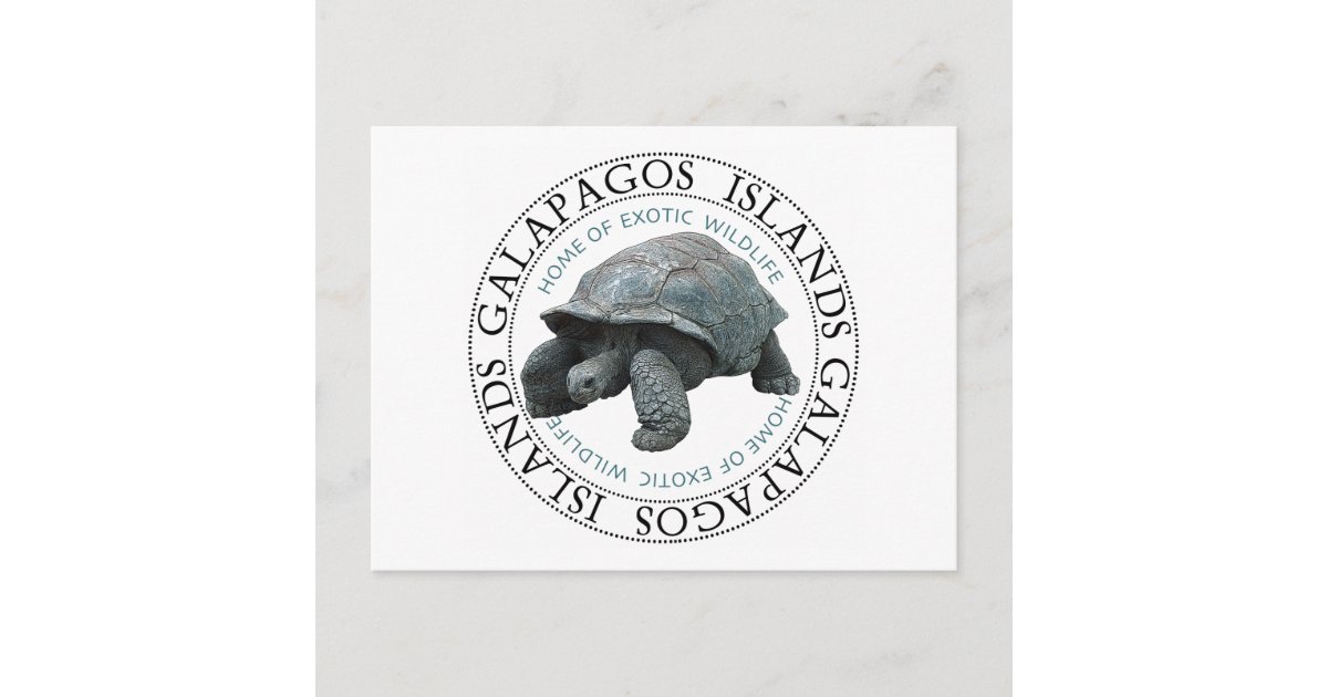 Galapagos Islands Tortoise Postcard | Zazzle