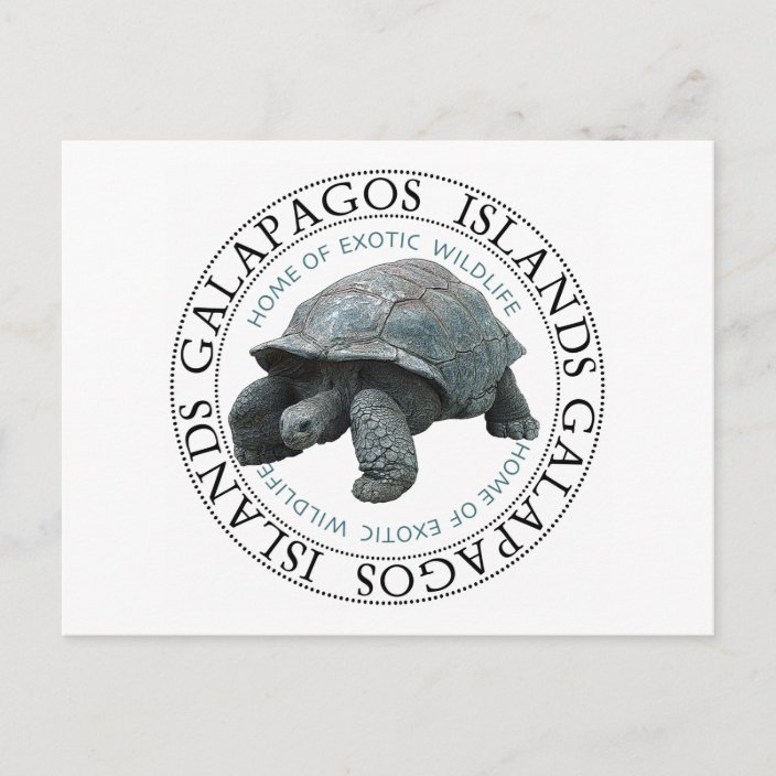 Galapagos Islands Tortoise Postcard | Zazzle.com