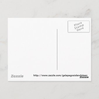 Galapagos Islands Tortoise Postcard | Zazzle