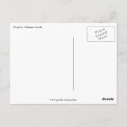 galapagos penguins postcard | Zazzle