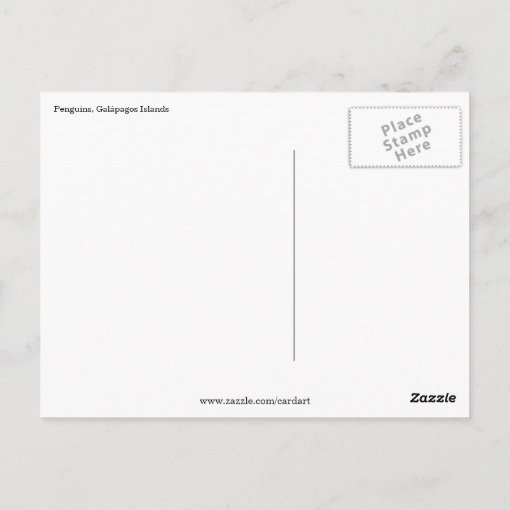 galapagos penguins postcard | Zazzle