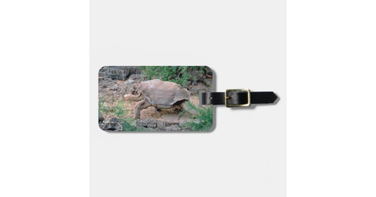Galapagos Tortoise Luggage Tags | Zazzle
