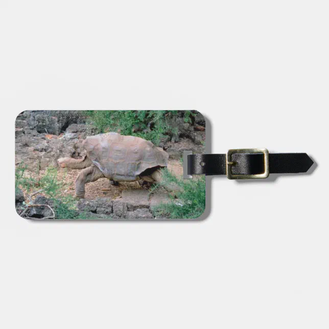 Galapagos Tortoise Luggage Tags | Zazzle