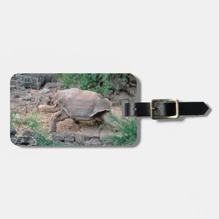 Galapagos Tortoise Luggage Tags | Zazzle